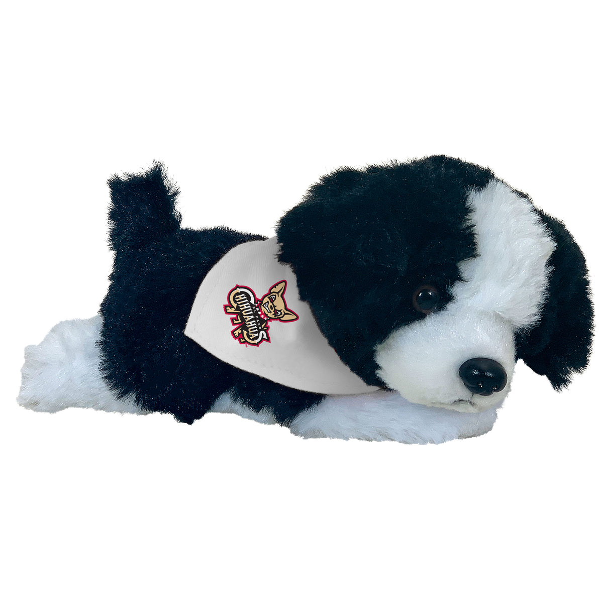 TINY TYKES MINI BORDER COLLIE – El Paso Chihuahuas Official Store